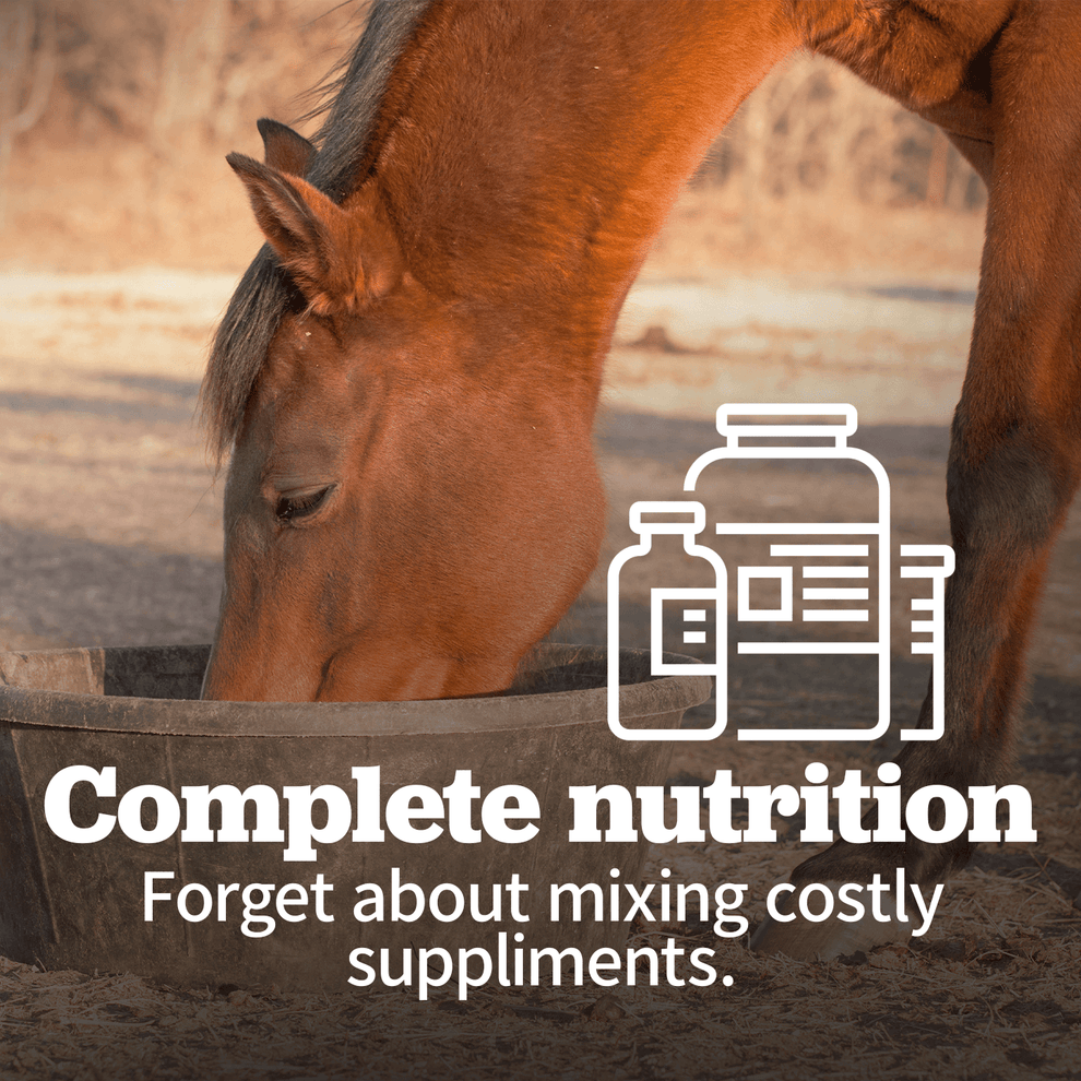 50lb Alfalfa & Sprout Feed Pellets | Horse & Livestock Nutrition ...