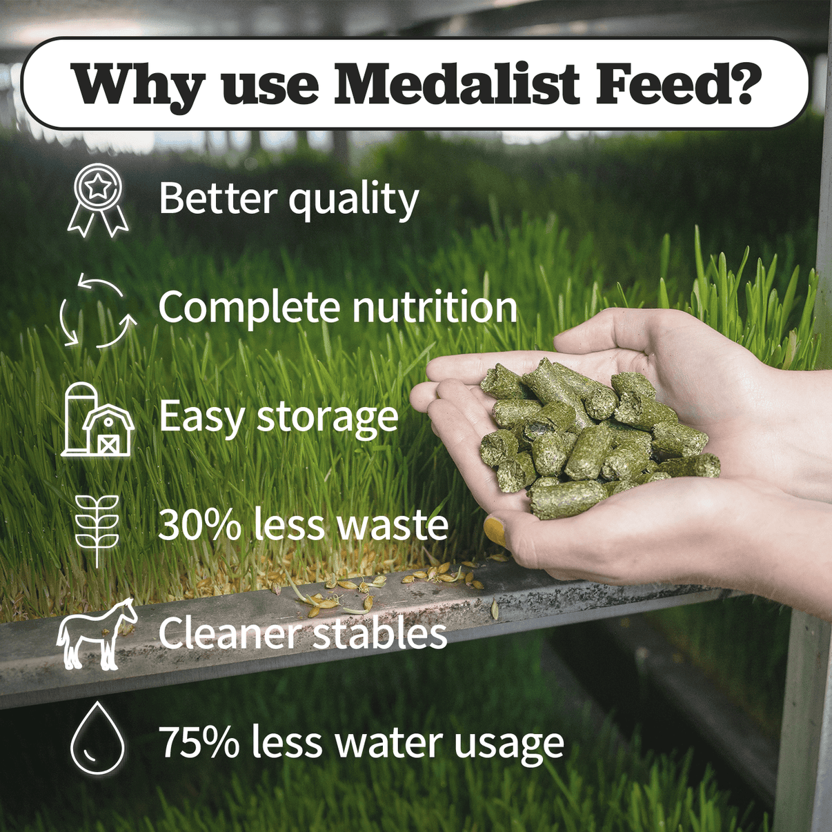 Sprout Pellets | The Only Fodder-Based Horse Feed for Maximum Nutrition ...